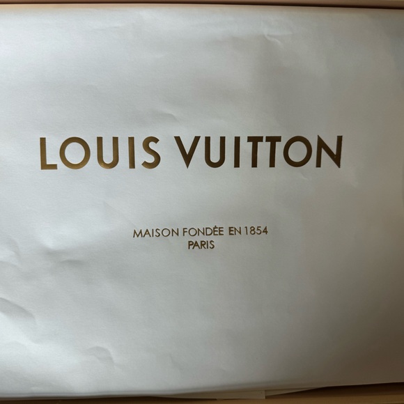Louis Vuitton | Shoes | Louis Vuitton Lv Trainer Sneaker 40n Size 9 ...